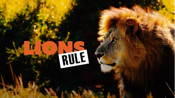 Lions Rule | Xumo Play