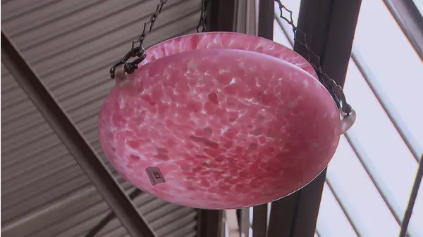 Phil Serrell and Arusha Irvine, Day 3 - Antiques Road Trip | Xumo Play