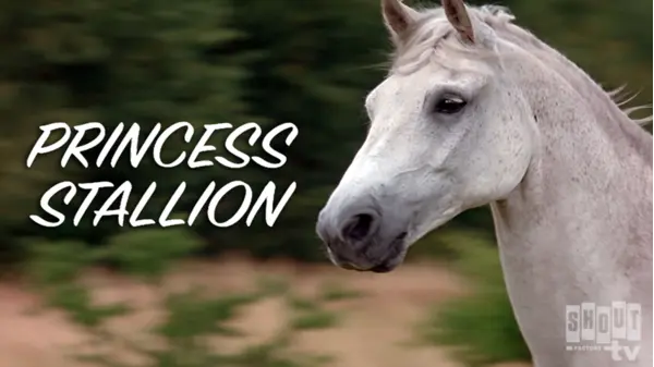 The Princess Stallion | Xumo Play