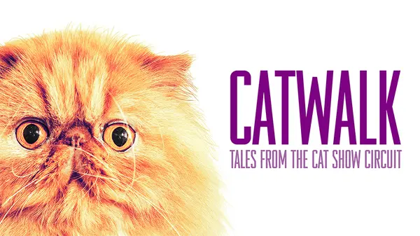 Catwalk: Tales from the Cat Show Circuit | Xumo Play