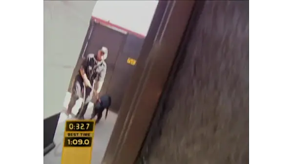 Dog Attack/Gas Chamber/Car Carrier Drive-Thru - Fear Factor | Xumo Play