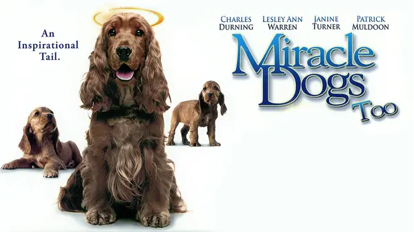 Miracle Dogs Too | Xumo Play