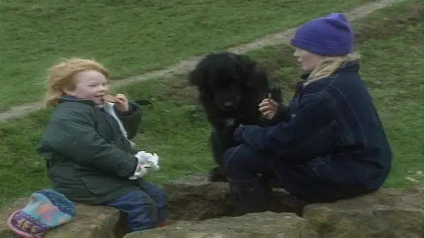 Dog Walking - Teletubbies | Xumo Play