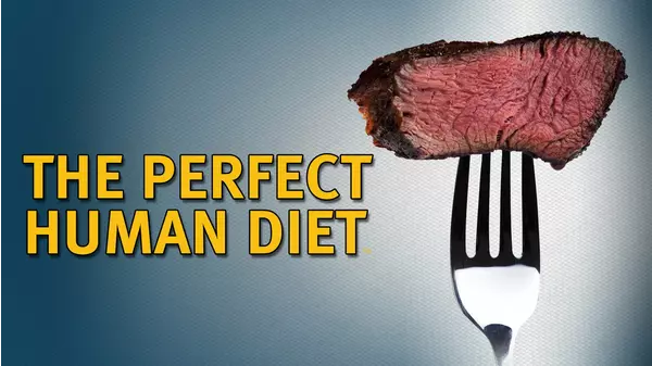 The Perfect Human Diet | Xumo Play