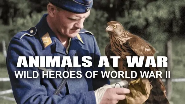 Animals at War: Wild Heroes of World War II - Combat War Channel | Xumo ...