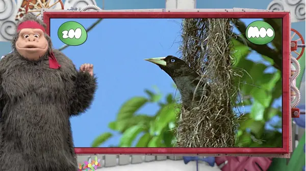 Extraordinary Eggs - Xumo Free Kids TV | Xumo Play