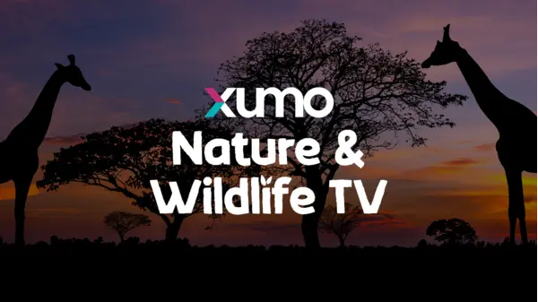 Xumo Free Nature & Wildlife TV | Xumo Play